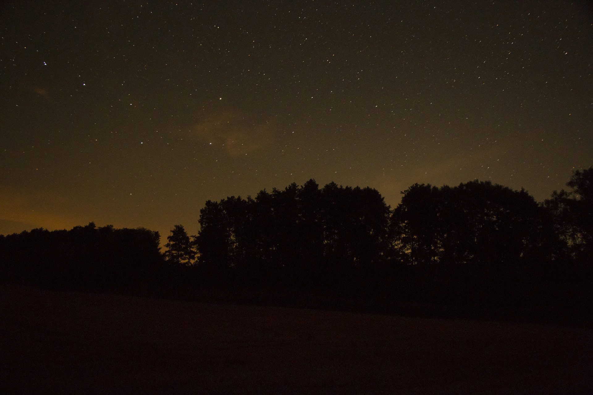 Night observation - Village Grande Nature